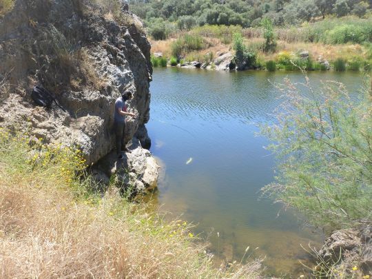 Discover the comizo barbel, the largest of the European barbs