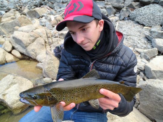 Fishing in Haute-Corse, 3 essential fish to look for