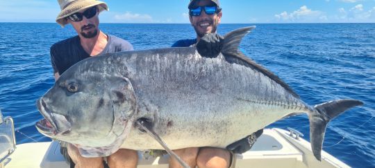 Carangue ignobilis fishing on Reunion Island, what equipment should you ...