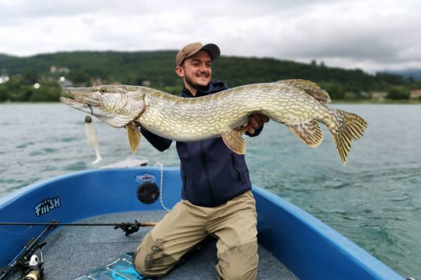 Fishing for carnivorous fish