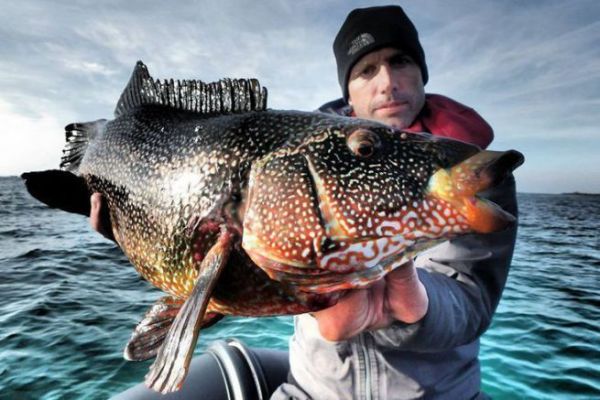 Scratch fishing, a fun and instructive technique