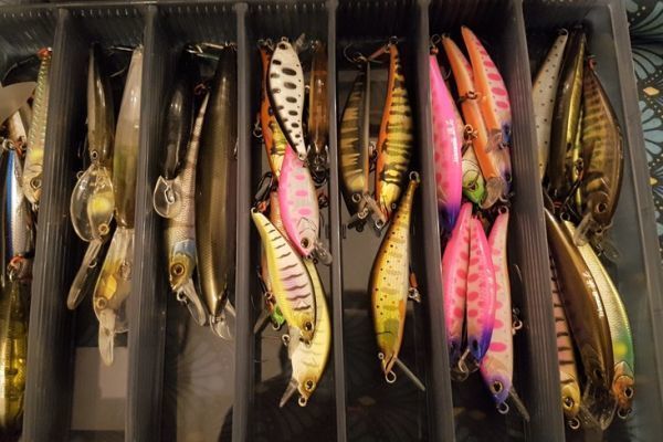 Understand the density of swimming fish to better fish