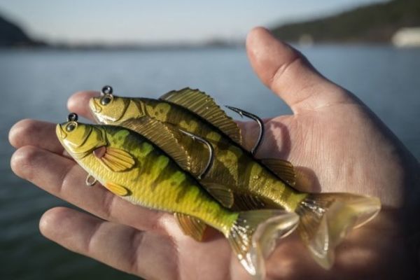 Live Target, a range of ultra-realistic lures for confident fishing