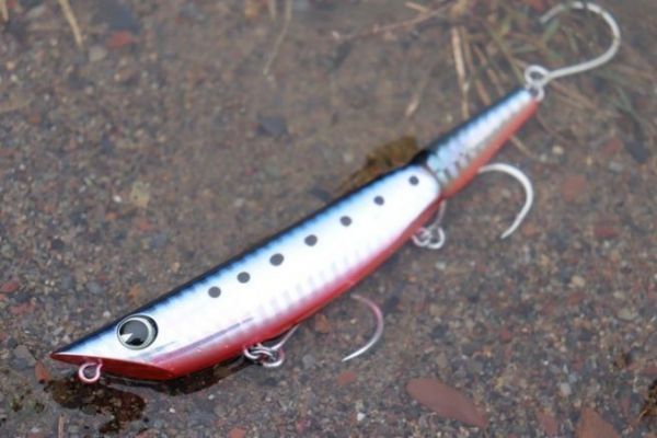 Ima Popkey 120, a stickbait with a fast, messy swim