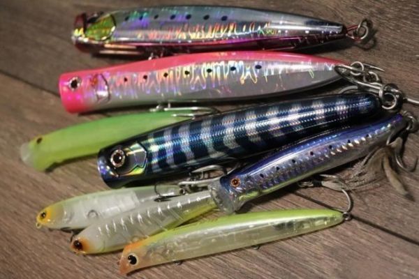 Integral armature of a hard lure: what is it and why is it important?