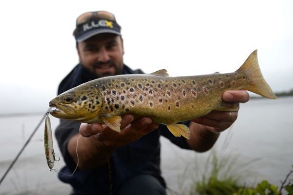 Trout fishing with lipless minnow, a highly effective lure