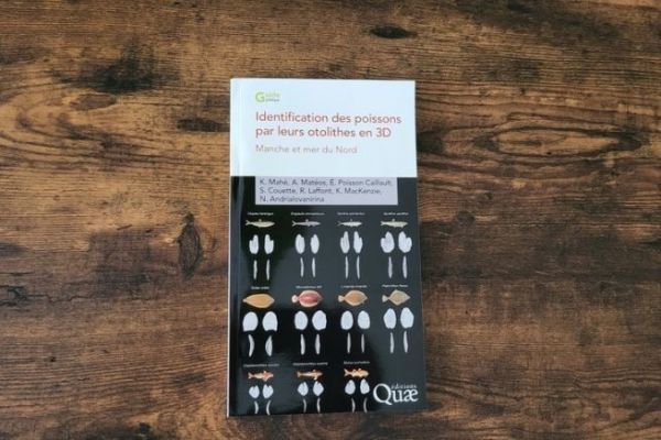 Practical guide: Fish identification by 3D otoliths