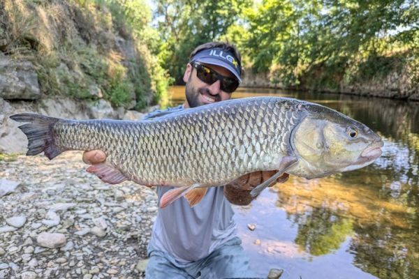 Chub fishing, capture of a huge 64-centimetre fish!