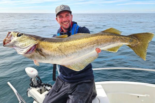Summer fishing in Normandy: large sea bass and record location in France