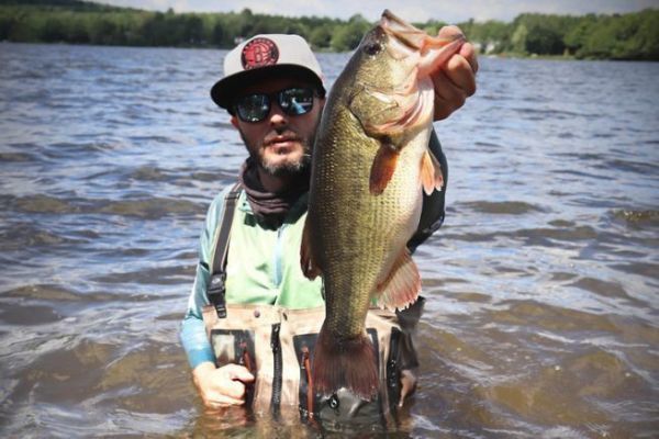 Vertical black bass fishing: an effective lake fishing technique