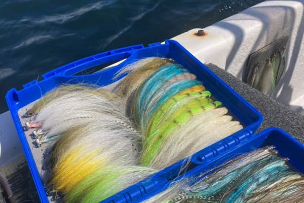 Sea bass fly fishing: 5 essential flies for autumn
