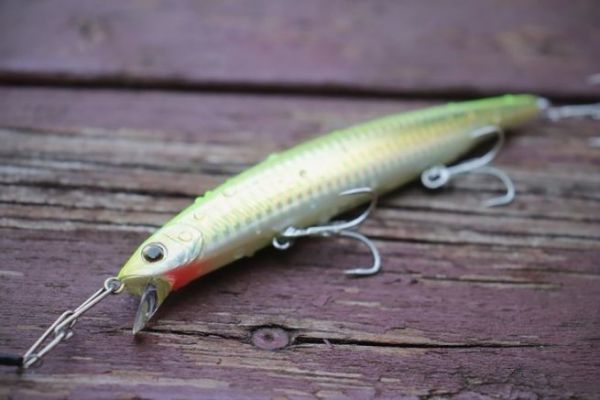 Bass Day Log Surf: 2 densities and 2 sizes for a perfect fit!