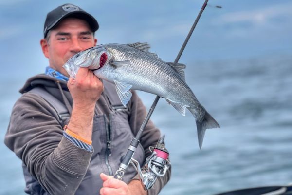 Rodhouse SJ 706 IM, top-of-the-range all-round rod at a reasonable price