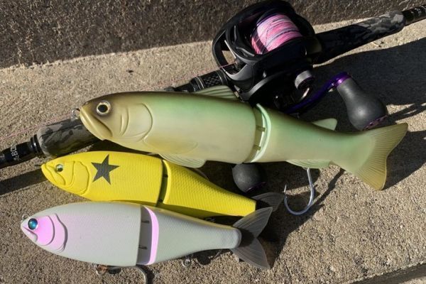 Everything you need to know to animate a glide-bait correctly and ...