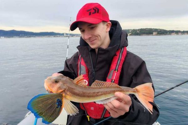 Fishing for red mullet, a fish to look for on the bottom