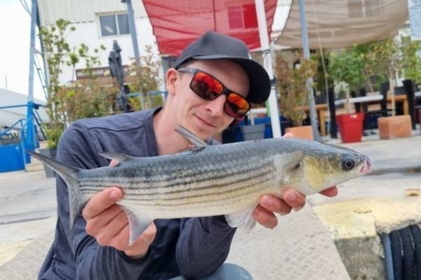 Fishing for mullet in the Mediterranean, get your thrills!