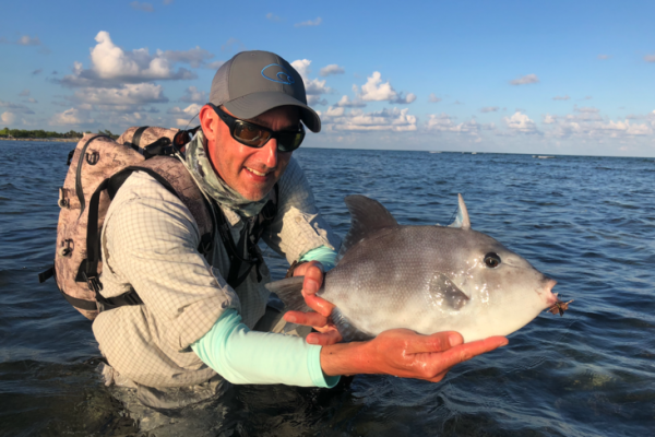 Fly fishing for trigger fish on exotic trips