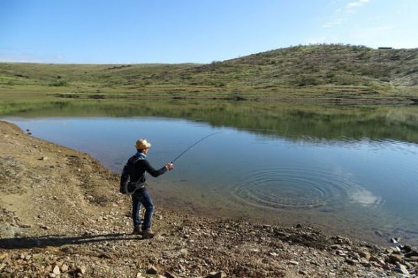 Single- and multi-strand fishing rods: the match!