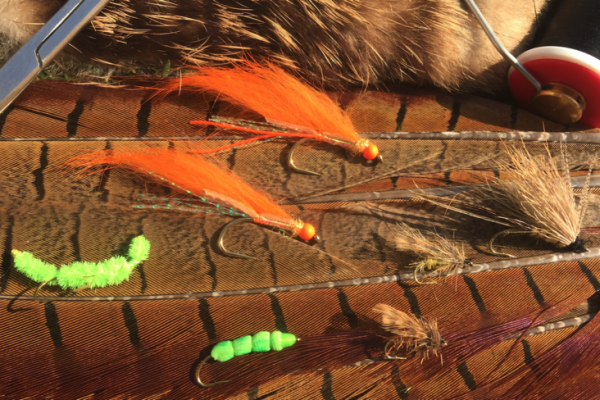 Fly fishing: 4 seasonal flies for trout and shad