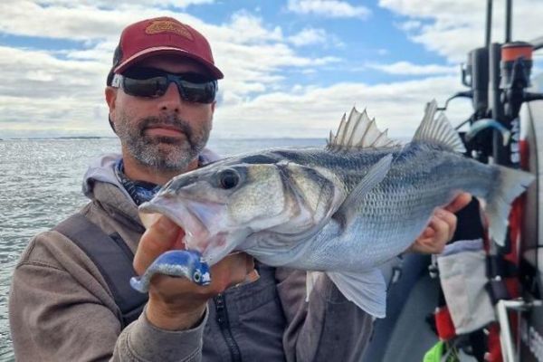 The Master Shad, the new Fiiish 2025 that bars fear!