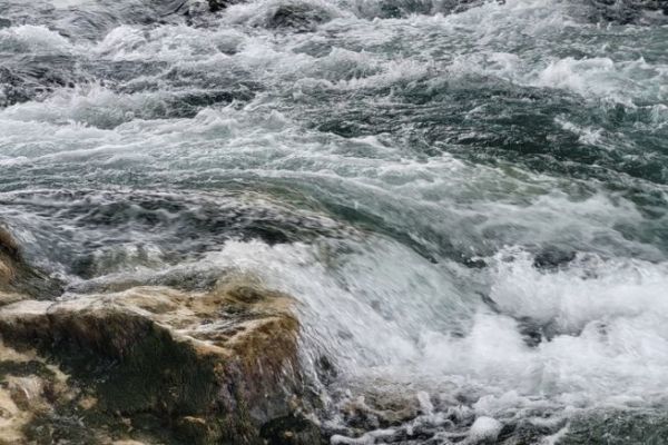 River Quality: a new version for nature lovers
