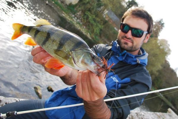 The micro jig, a fearsome lure well known to competitors