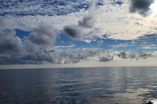 Postponement of declaration requirement for recreational anglers